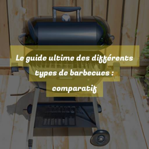 Le guide ultime des différents types de barbecues : comparatif ...
